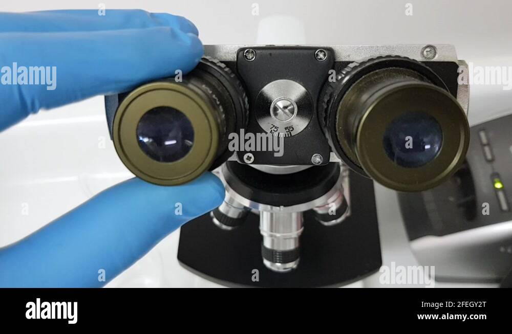 Clean room laboratory Stock Videos & Footage - HD and 4K Video Clips ...