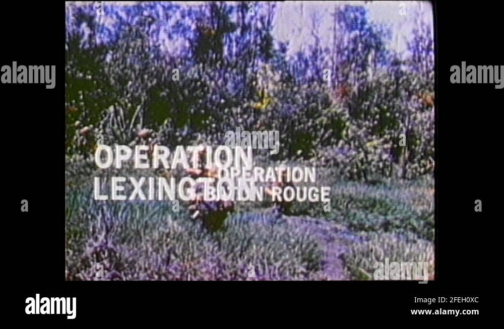 Vietnam army swamp Stock Videos & Footage - HD and 4K Video Clips - Alamy