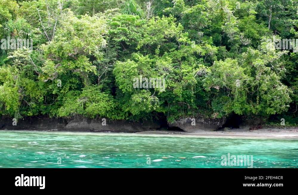 Papua new guinea island bougainville Stock Videos & Footage - HD and 4K ...