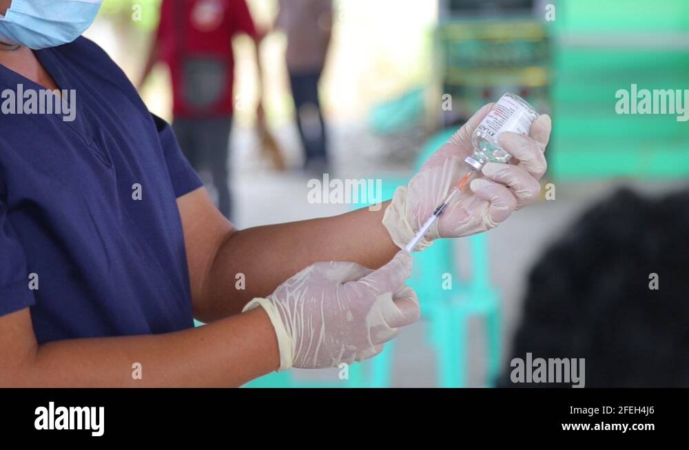 Animal rabies vaccine Stock Videos & Footage - HD and 4K Video Clips ...