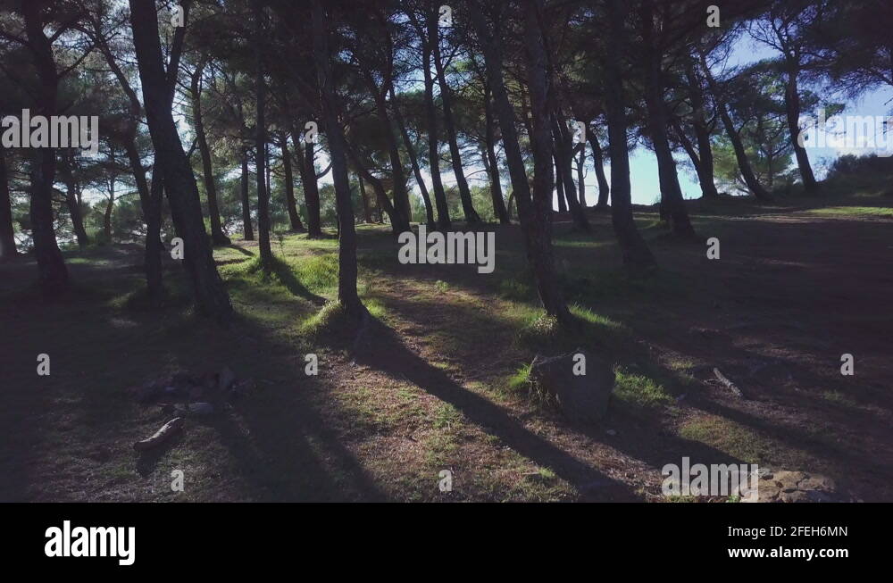 Summer color color bright outdoor outdoor background environment light ...