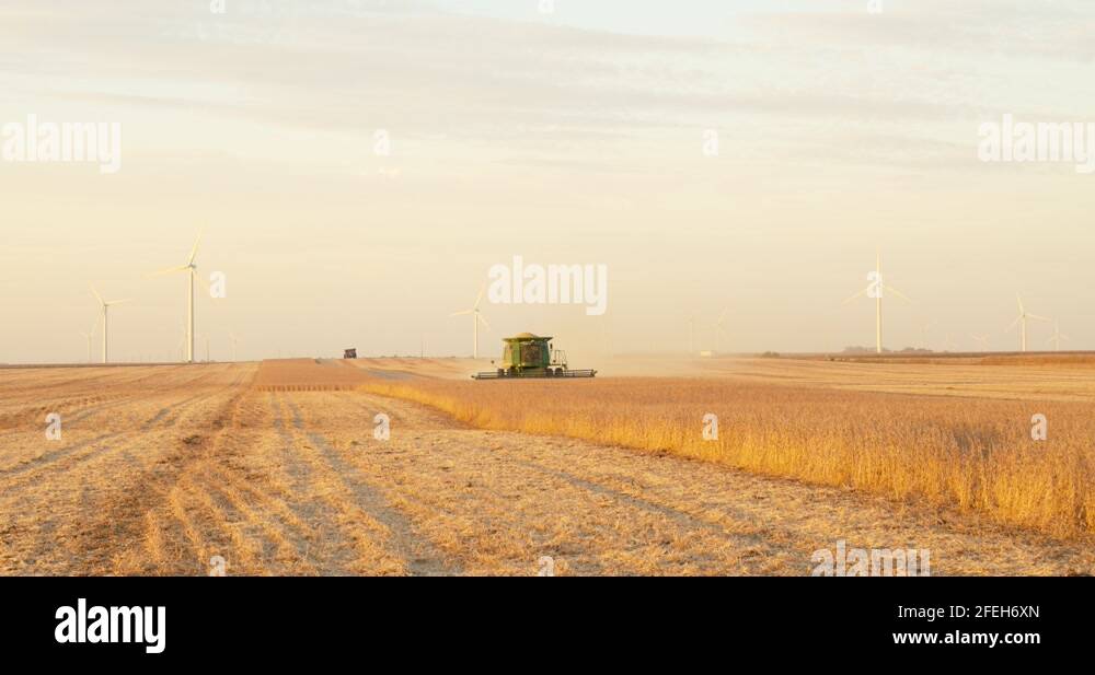 Midwest farm harvest Stock Videos & Footage - HD and 4K Video Clips - Alamy