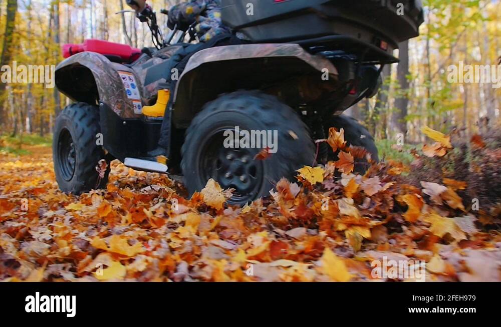 Outdoor activity - man with his son riding ATVs in the forest on orange ...
