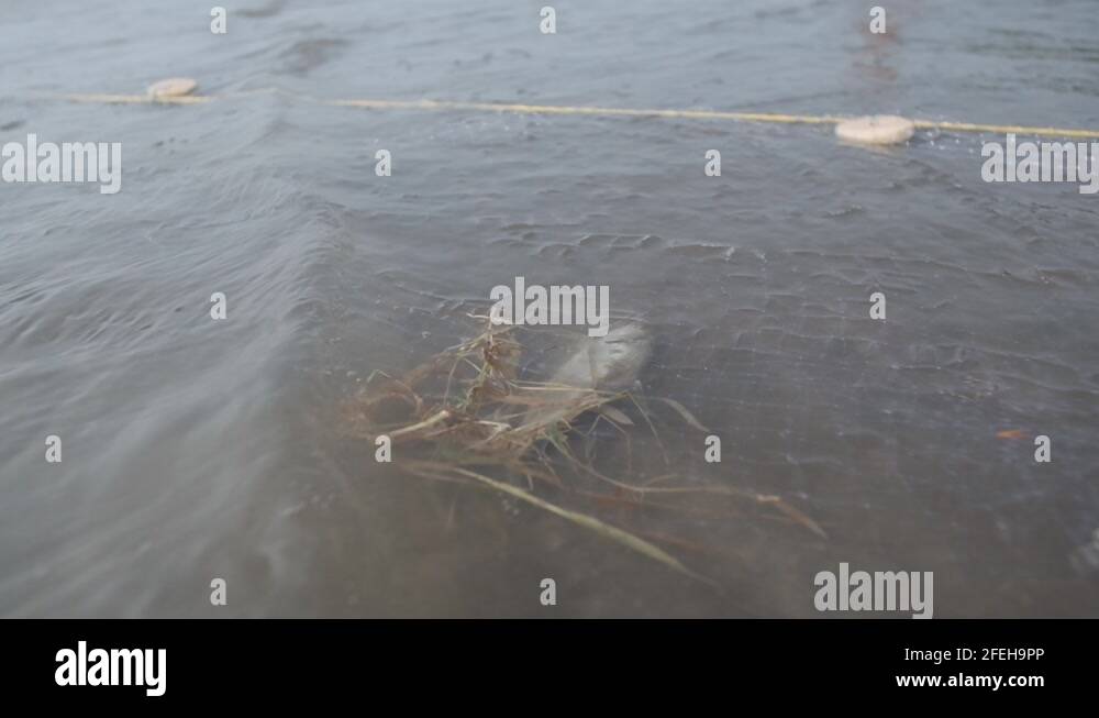 Trash fish net Stock Videos & Footage - HD and 4K Video Clips - Alamy
