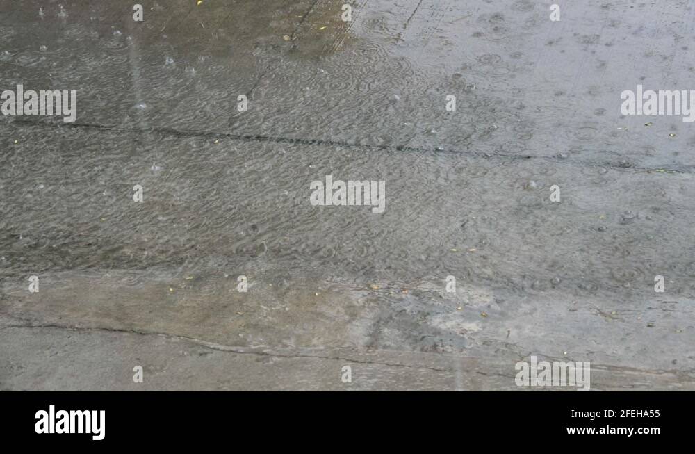 Summer heavy rain water drops falling down into puddle on asphalt ...