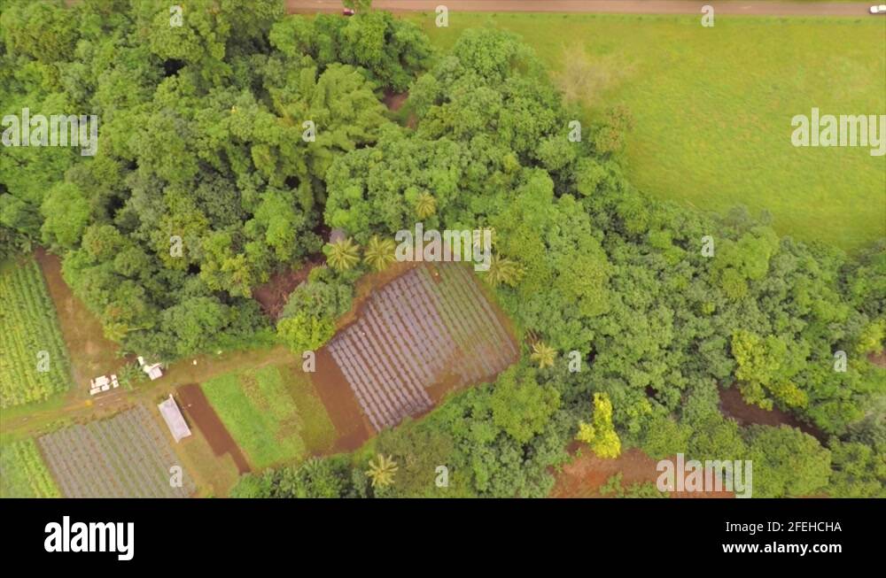 Farm on island Stock Videos & Footage - HD and 4K Video Clips - Alamy