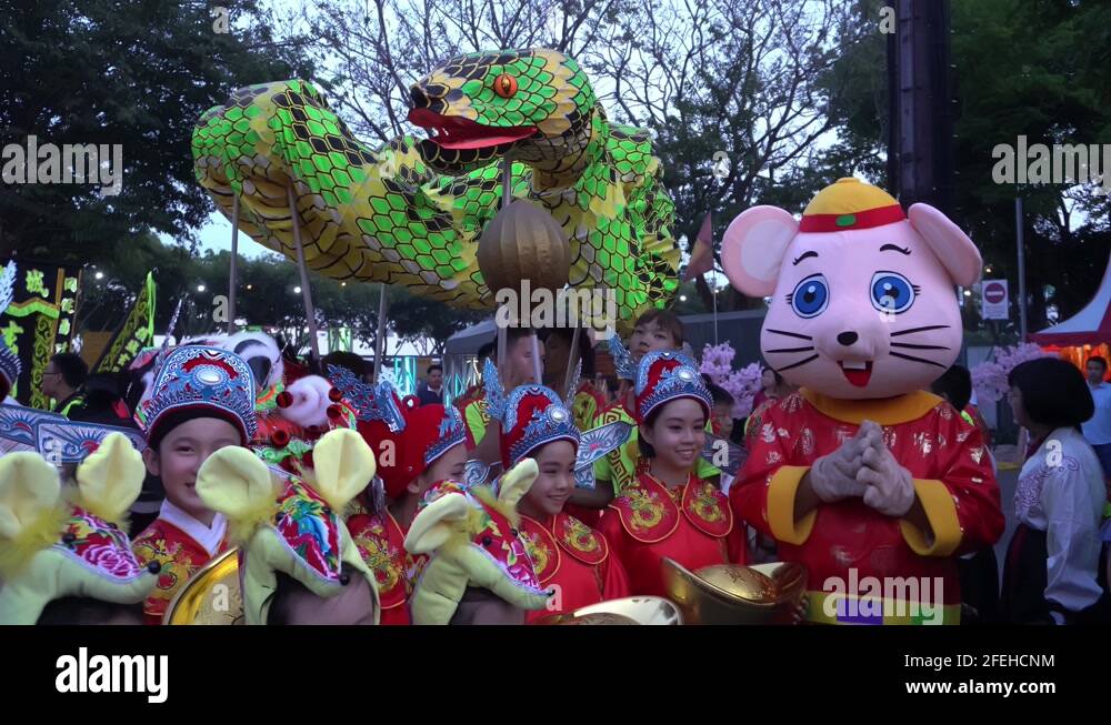 Chinese new year lunar snake Stock Videos & Footage - HD and 4K Video ...
