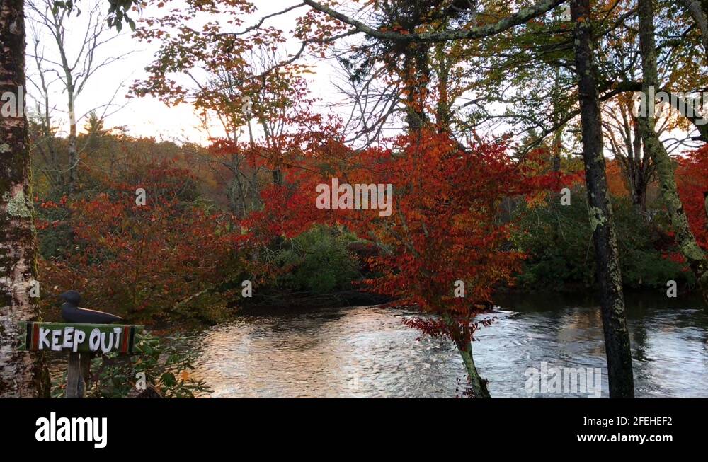 Sunlight and country rivers Stock Videos & Footage - HD and 4K Video ...