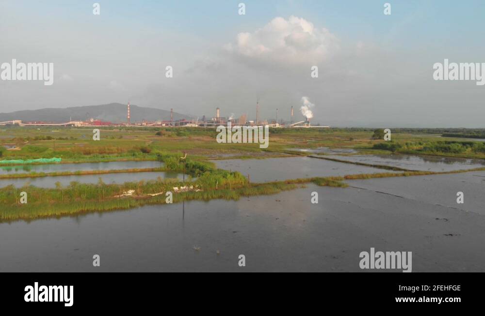 Waterlogged conditions Stock Videos & Footage - HD and 4K Video Clips ...