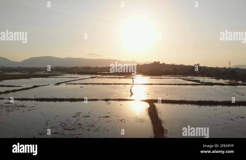 Fish farming fields Stock Videos & Footage - HD and 4K Video Clips - Alamy