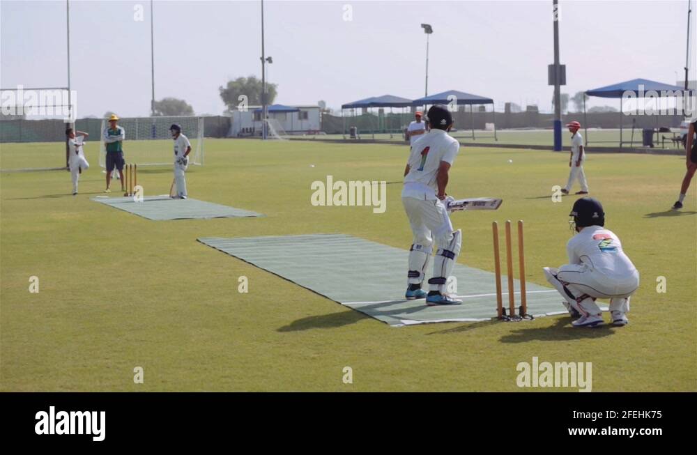 Children playing cricket match Stock Videos & Footage - HD and 4K Video ...