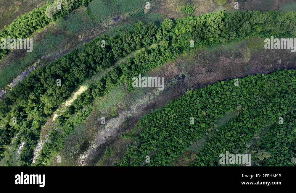 Curved texture Stock Videos & Footage - HD and 4K Video Clips - Alamy