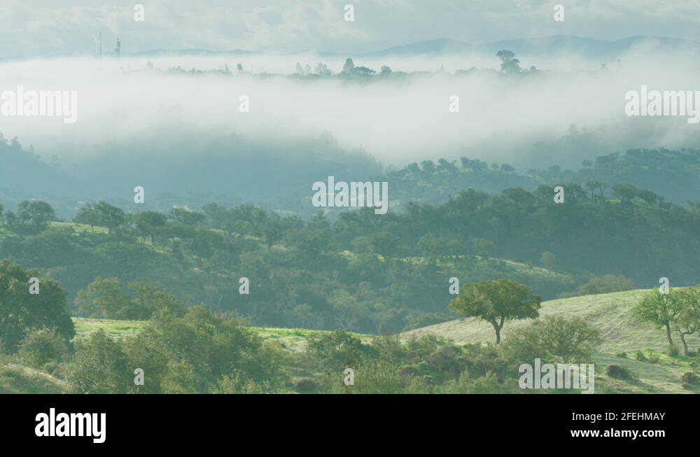 Blanket of mist Stock Videos & Footage - HD and 4K Video Clips - Alamy