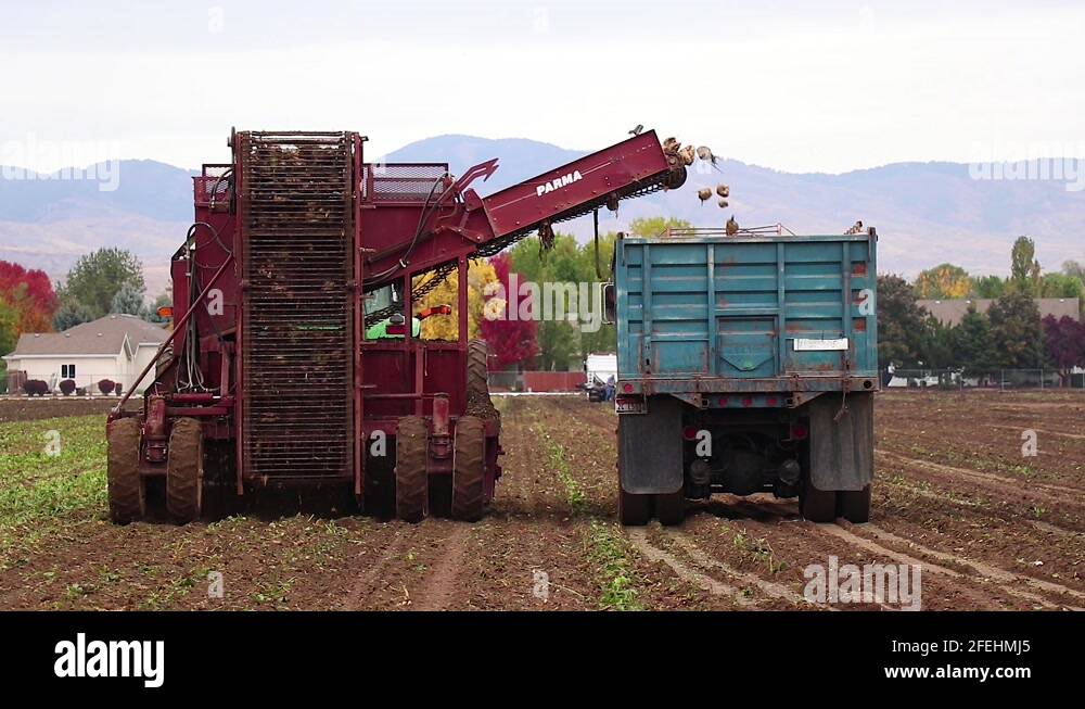 Beat machine Stock Videos & Footage - HD and 4K Video Clips - Alamy