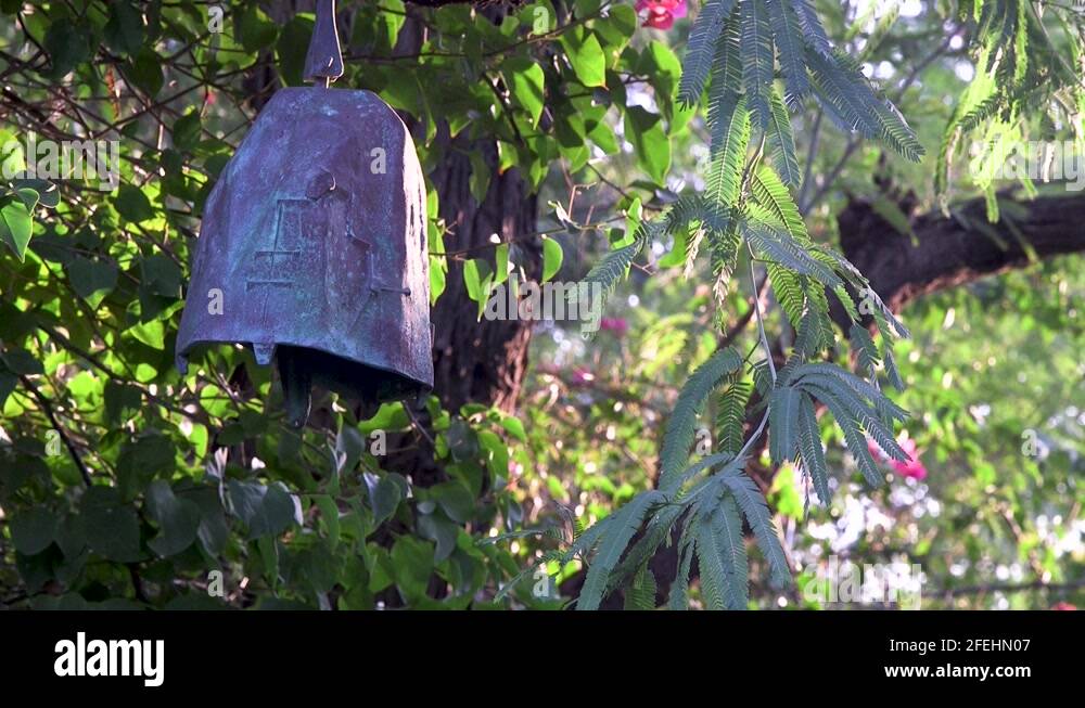 Bell tree instrument Stock Videos & Footage - HD and 4K Video Clips - Alamy