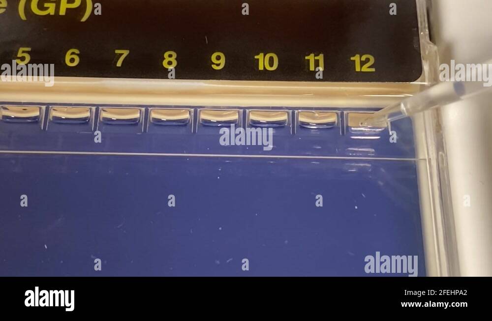 Loading dna Stock Videos & Footage - HD and 4K Video Clips - Alamy