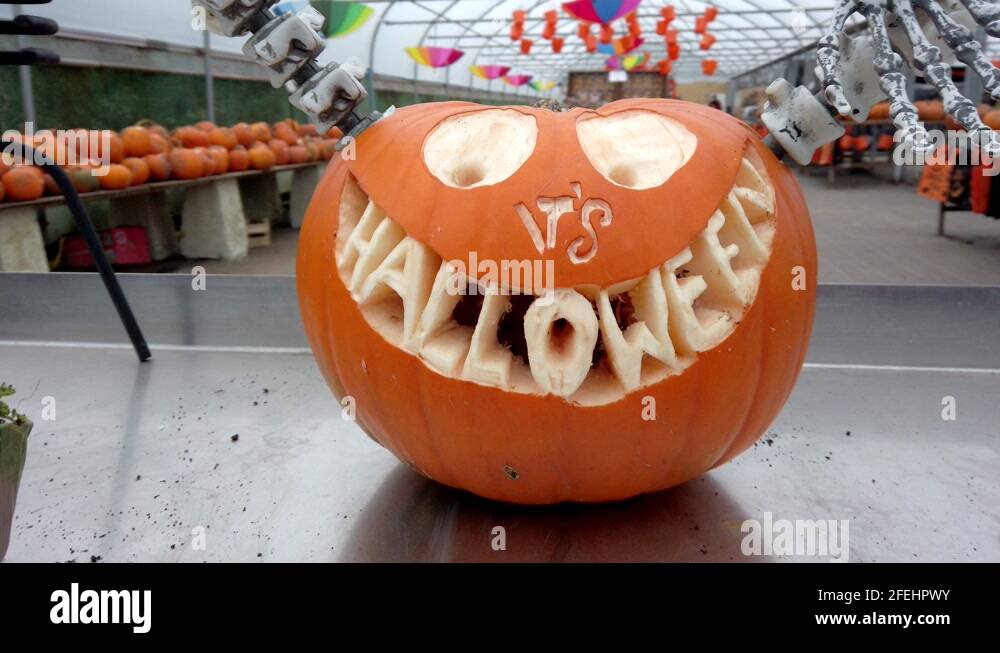 Haunted pumpkin patch Stock Videos & Footage - HD and 4K Video Clips ...