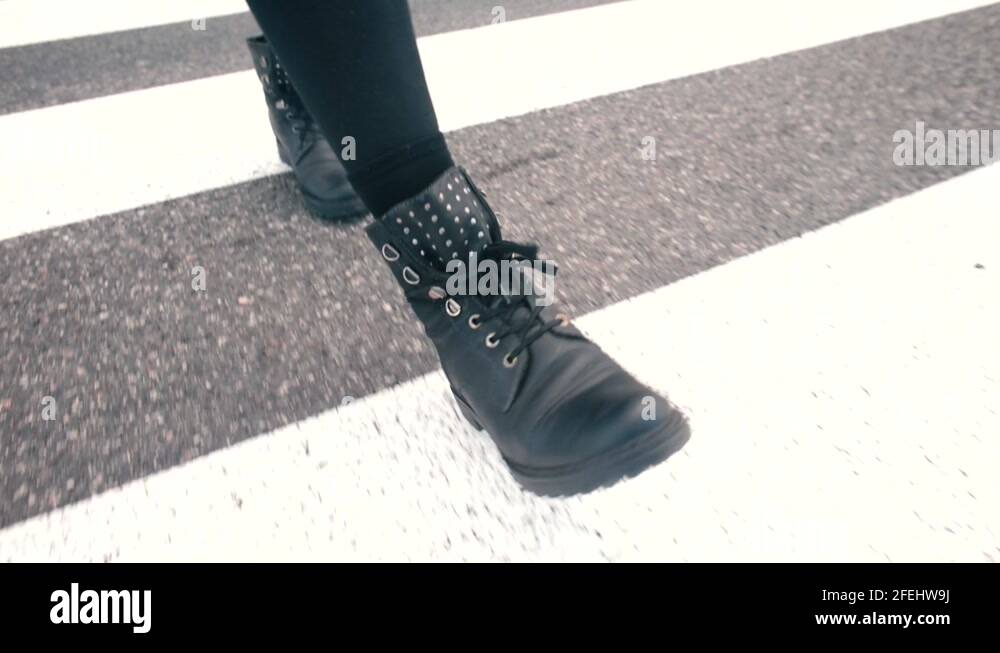 Zebra feet Stock Videos & Footage - HD and 4K Video Clips - Alamy