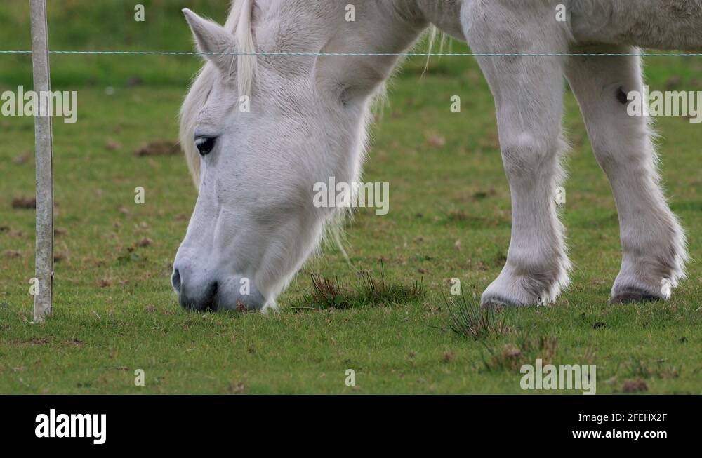 Nat geo planet Stock Videos & Footage - HD and 4K Video Clips - Alamy
