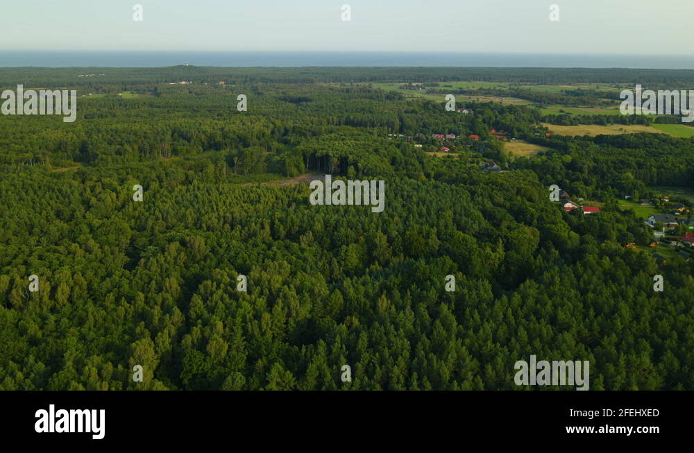 Flora of europe Stock Videos & Footage - HD and 4K Video Clips - Alamy