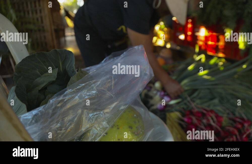 Bagging soil Stock Videos & Footage - HD and 4K Video Clips - Alamy