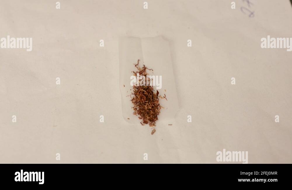 Cigarette roll Stock Videos & Footage - HD and 4K Video Clips - Alamy