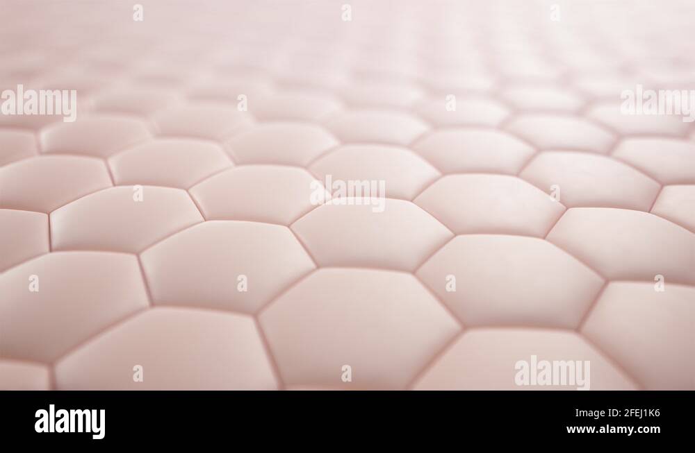 Layer skin Stock Videos & Footage - HD and 4K Video Clips - Alamy