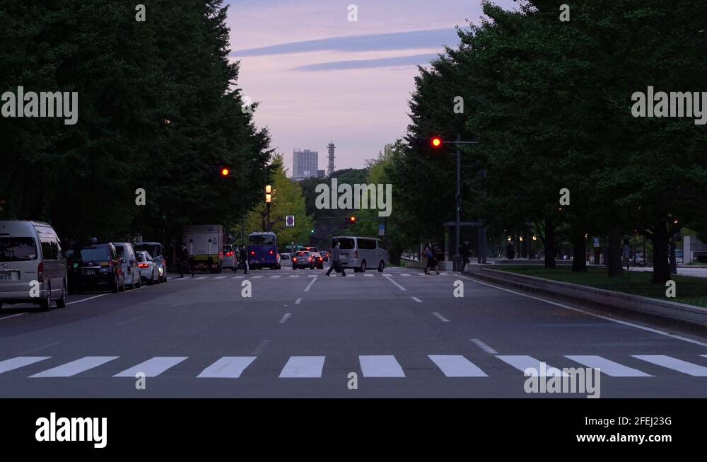 Traffic light pedestrian crossings Stock Videos & Footage - HD and 4K Video Clips - Alamy