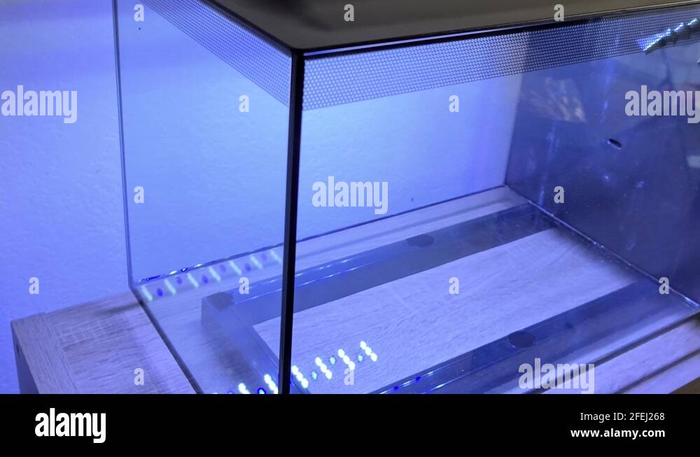 Empty fish tank aquarium Stock Videos & Footage - HD and 4K Video Clips ...