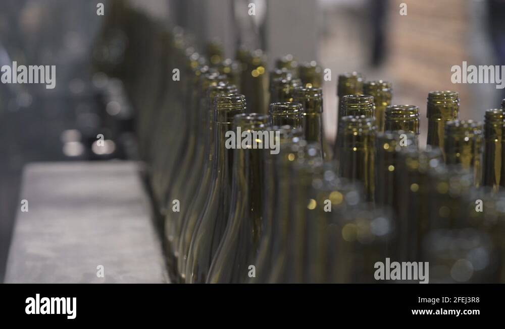 Rows of empty bottle in a wine assembly line, French heritage ...