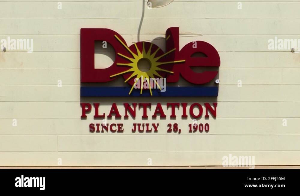 Dole logo Stock Videos & Footage - HD and 4K Video Clips - Alamy