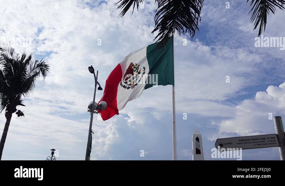 Mexican flying Stock Videos & Footage - HD and 4K Video Clips - Alamy