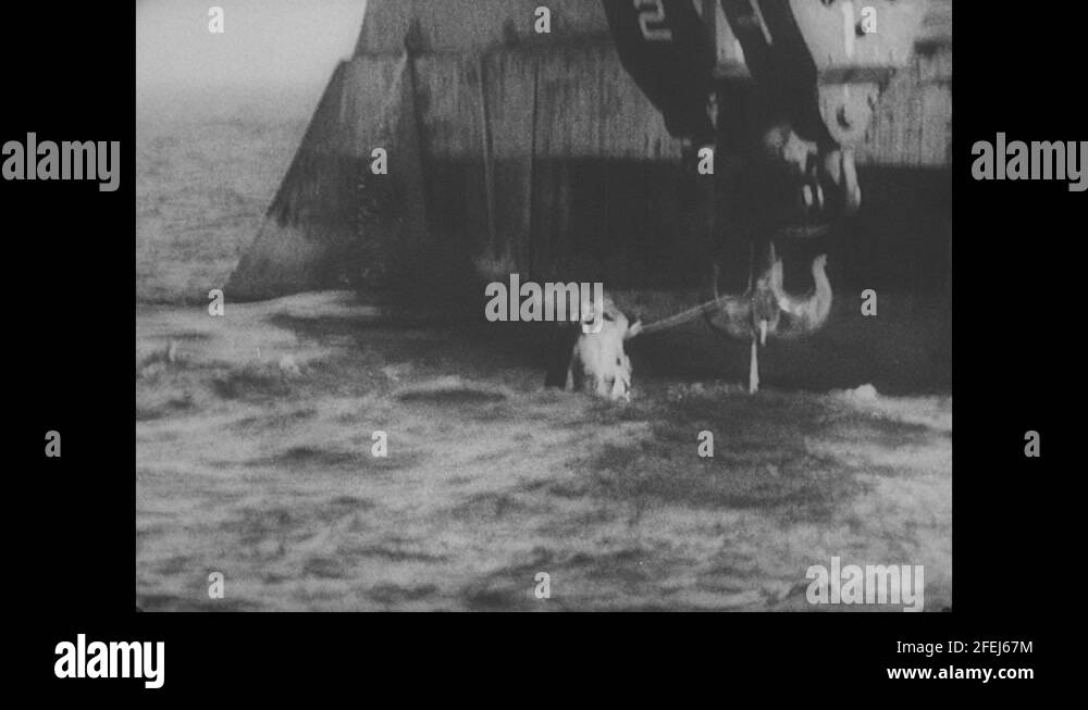 Sunken crane Stock Videos & Footage - HD and 4K Video Clips - Alamy