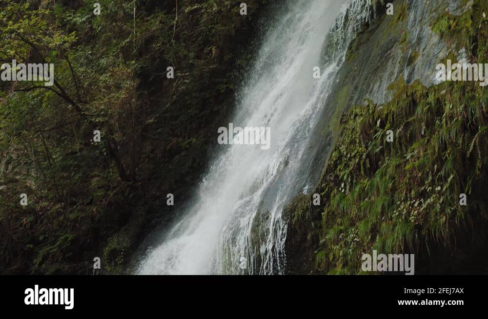 Biwa see Stock Videos & Footage - HD and 4K Video Clips - Alamy