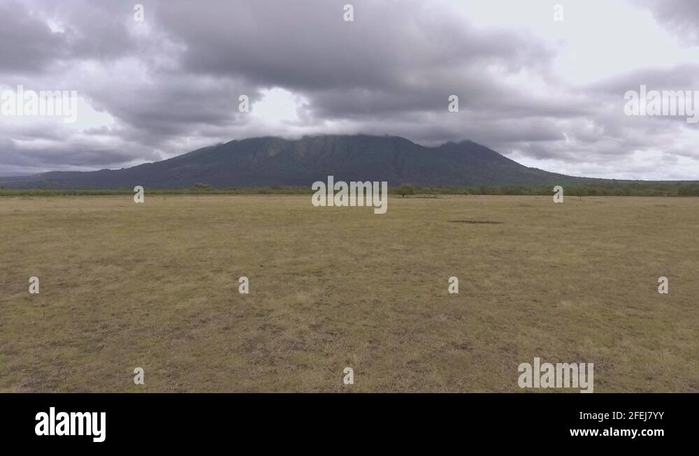 Baluran national park Stock Videos & Footage - HD and 4K Video Clips ...