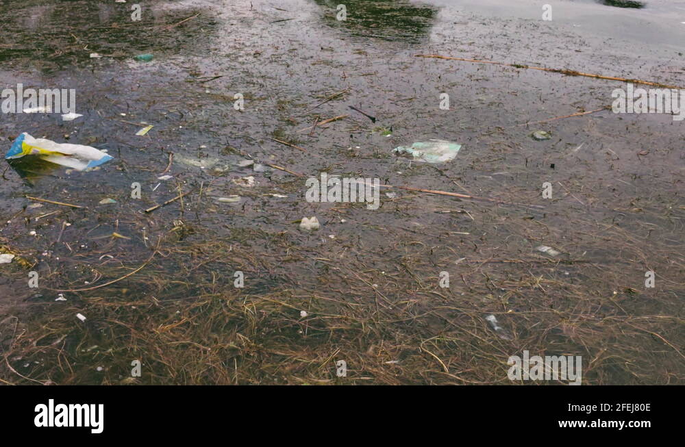 Trash garbage rubbish dumped plastic waste floating in lake or river ...