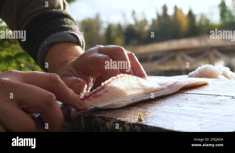 Man cutting fish fillets knife Stock Videos & Footage - HD and 4K Video ...