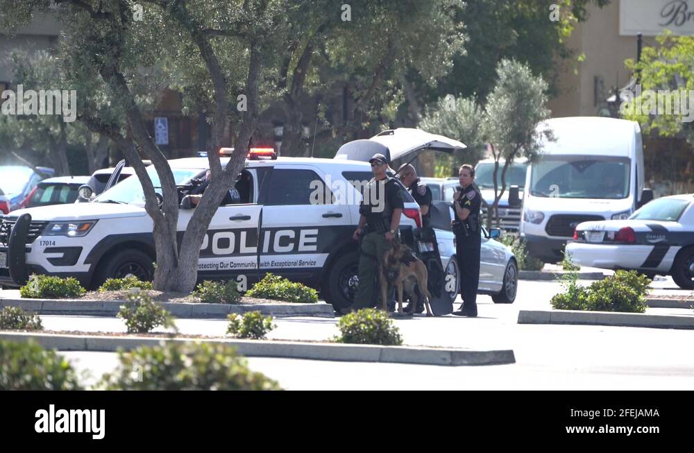 Armed standoff Stock Videos & Footage - HD and 4K Video Clips - Alamy