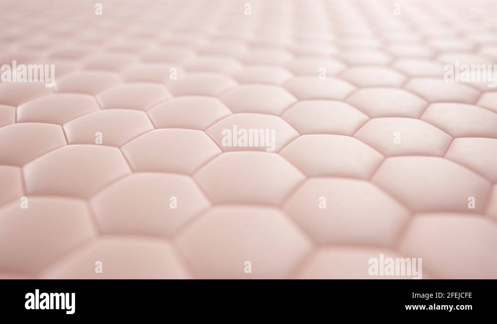 Smooth Skin After Replacing Damaged Tissues - Skin Regeneration - 3D ...