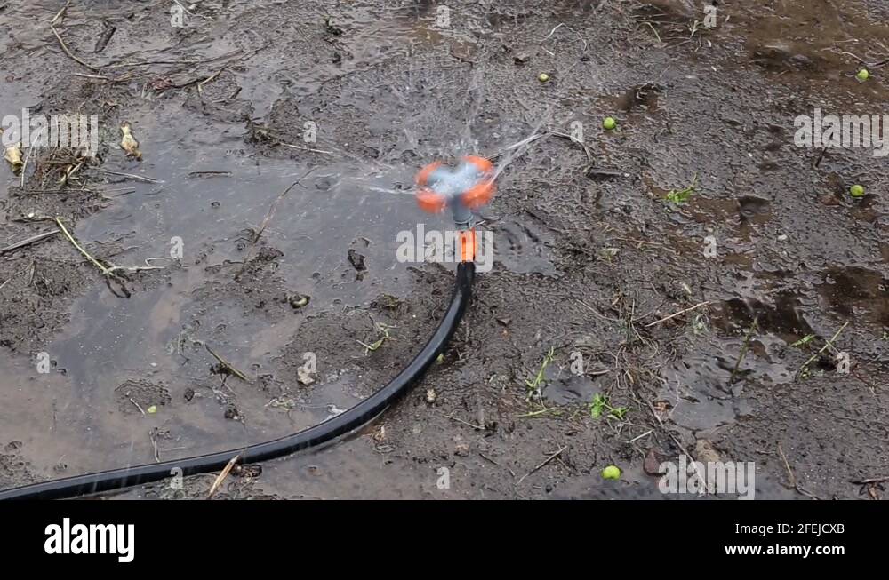 Dry sprinkler Stock Videos & Footage - HD and 4K Video Clips - Alamy