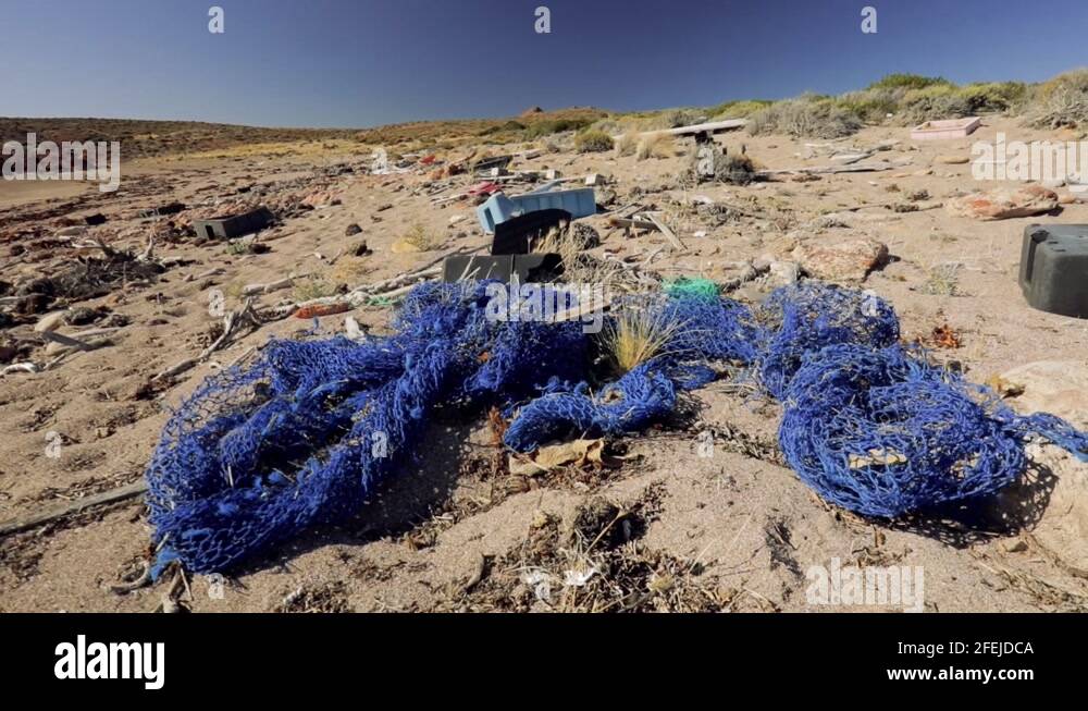 Disseminate Stock Videos & Footage - HD and 4K Video Clips - Alamy