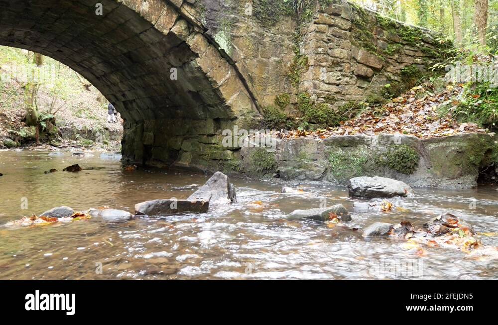 Woodland arch Stock Videos & Footage - HD and 4K Video Clips - Alamy