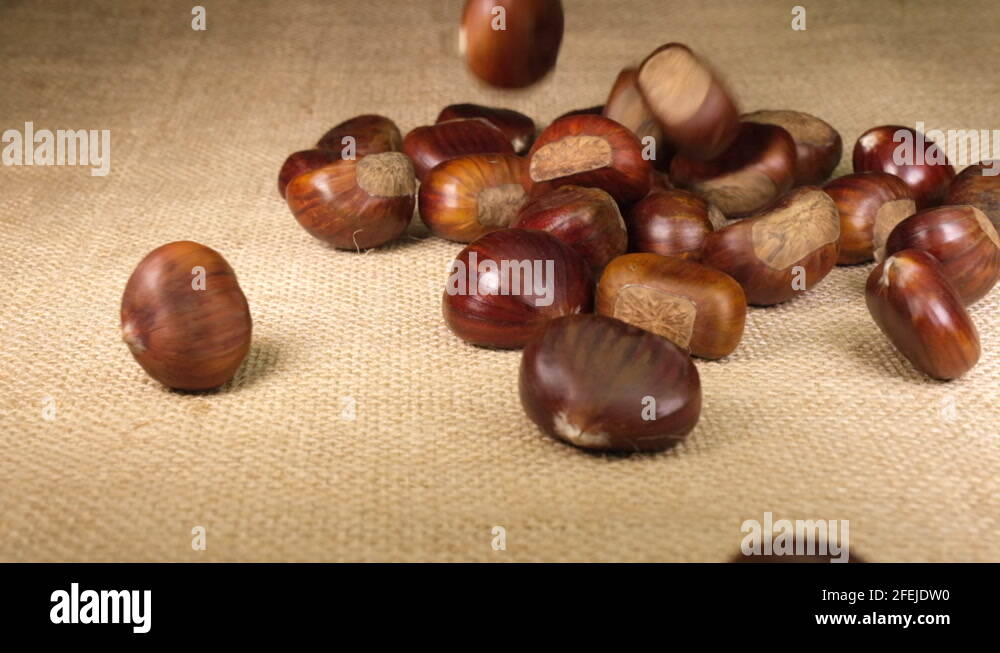 Chestnuts falling on jute background Stock Video Footage - Alamy