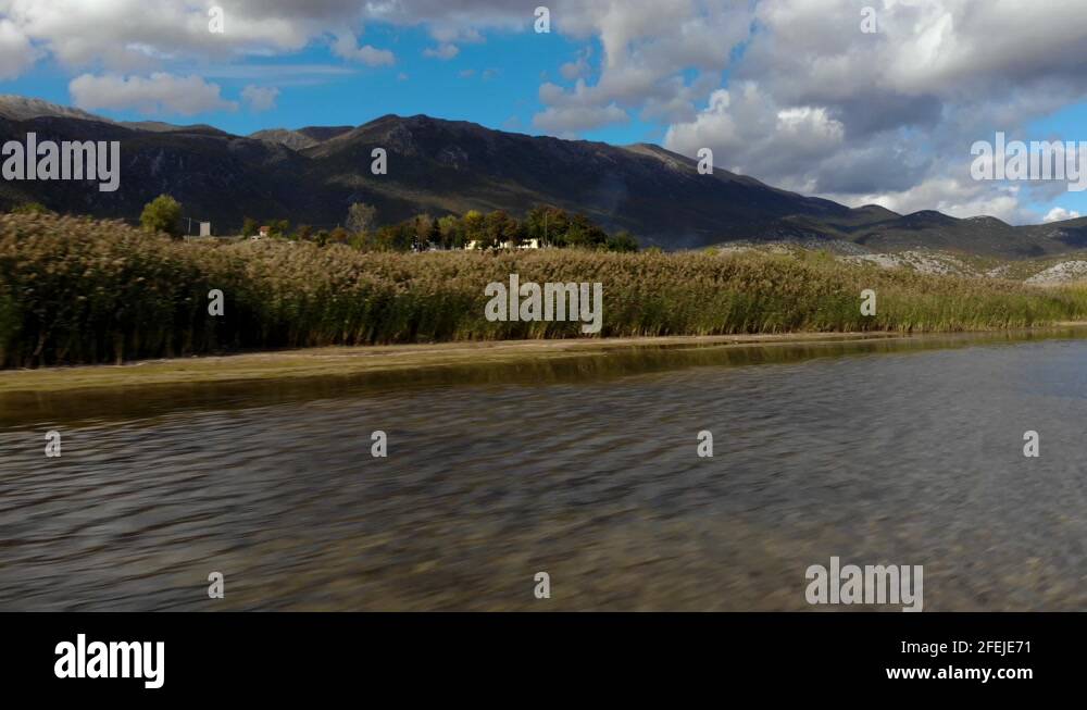 Shallow lake habitat Stock Videos & Footage - HD and 4K Video Clips - Alamy