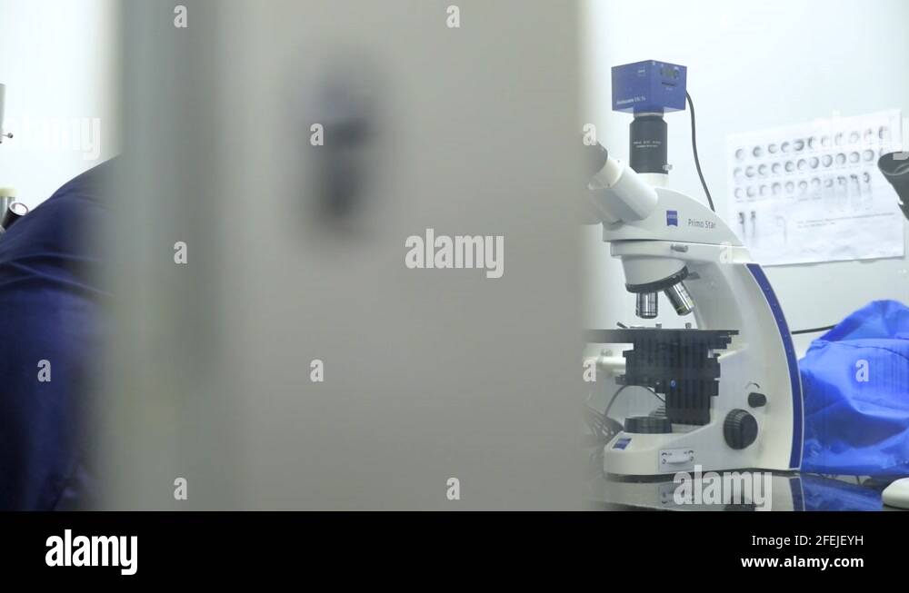 An aquatic scientist Stock Videos & Footage - HD and 4K Video Clips - Alamy