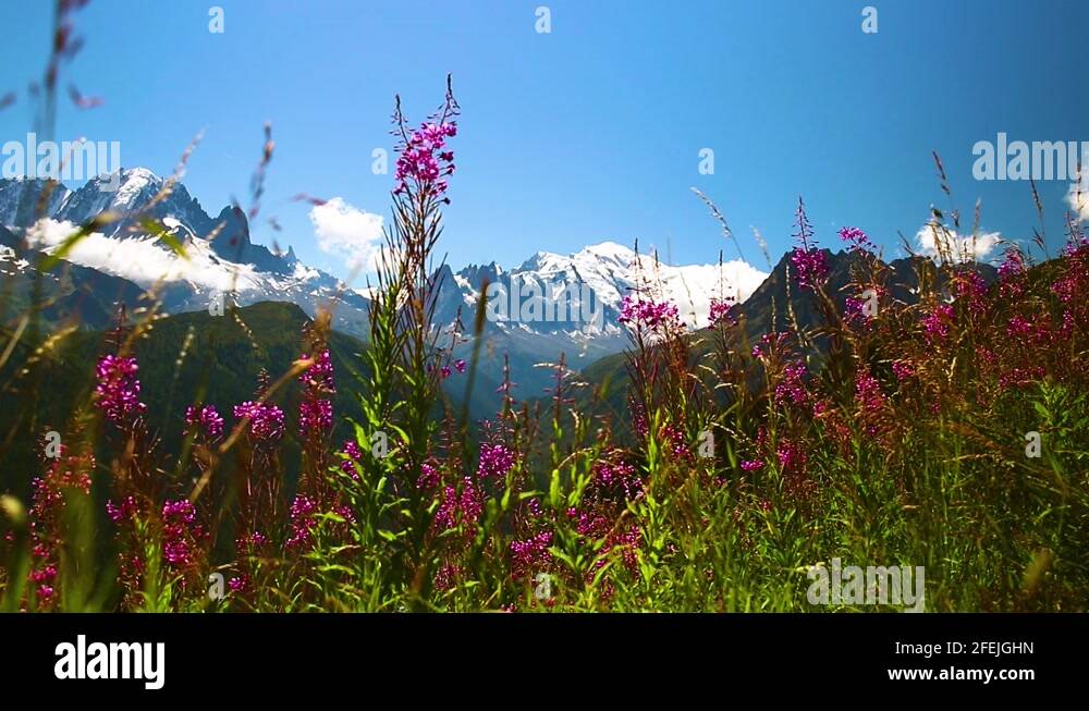 Wide view peaks Stock Videos & Footage - HD and 4K Video Clips - Alamy