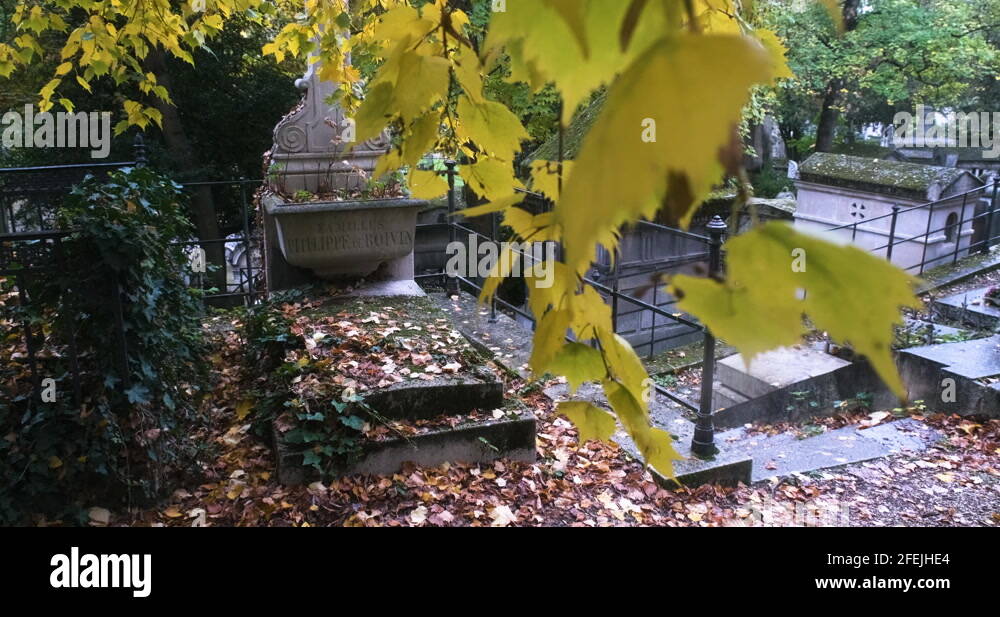 Lateral stone Stock Videos & Footage - HD and 4K Video Clips - Alamy