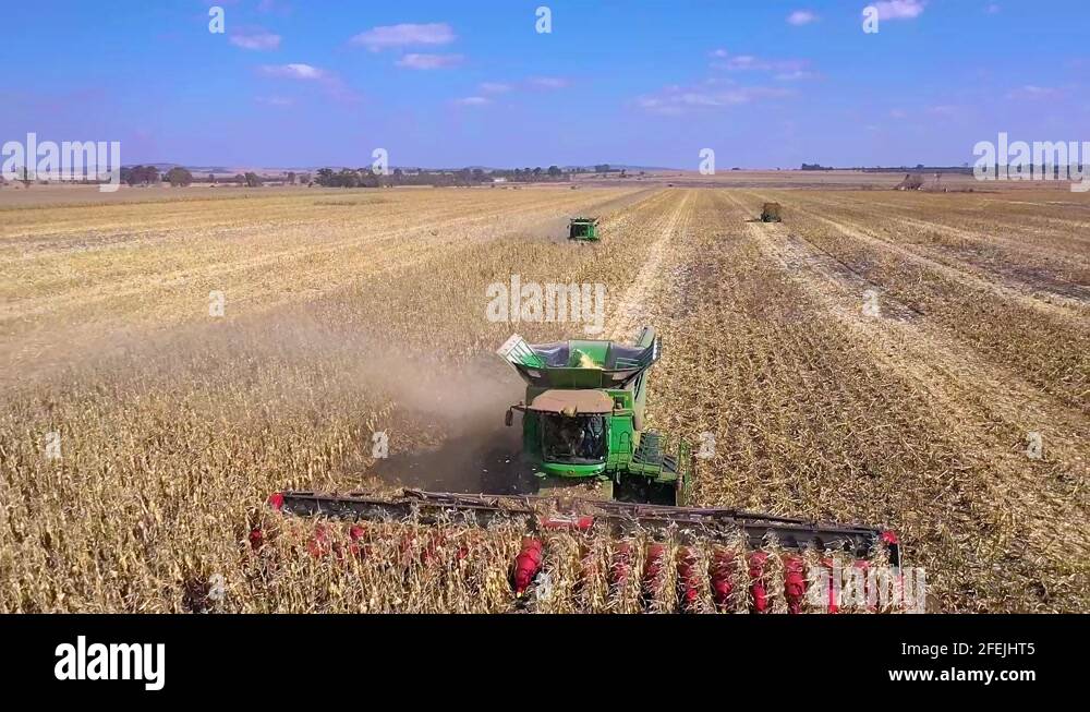John Deere Harvesters working together harvesting hectares of maize ...