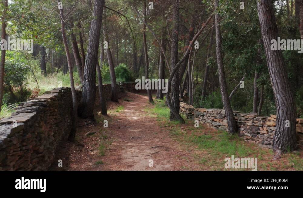 Medieval walking route Stock Videos & Footage - HD and 4K Video Clips ...