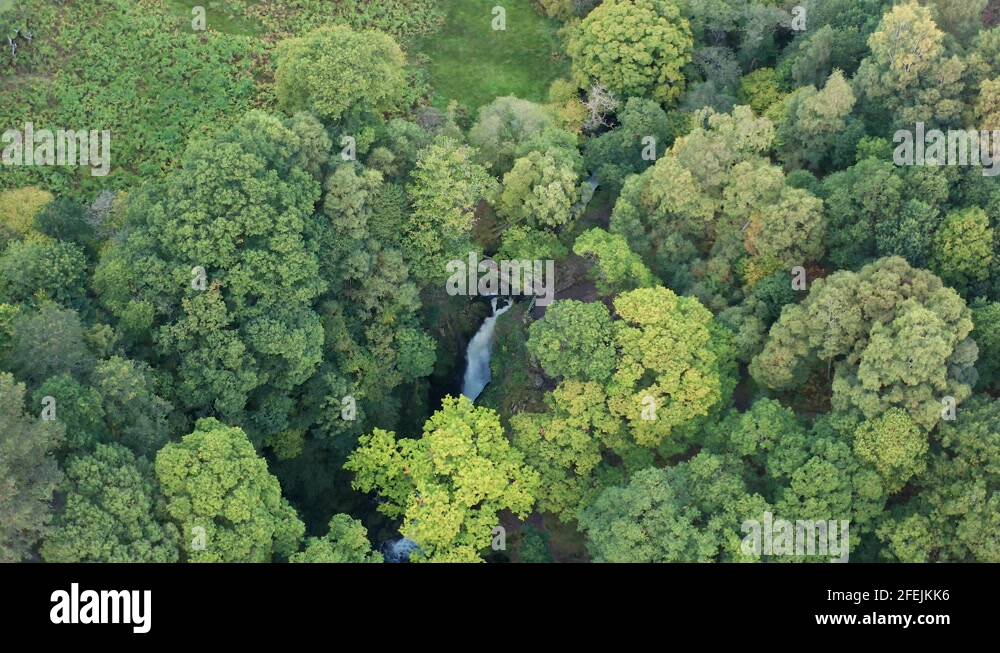 Aira force waterfall lake district Stock Videos & Footage - HD and 4K ...